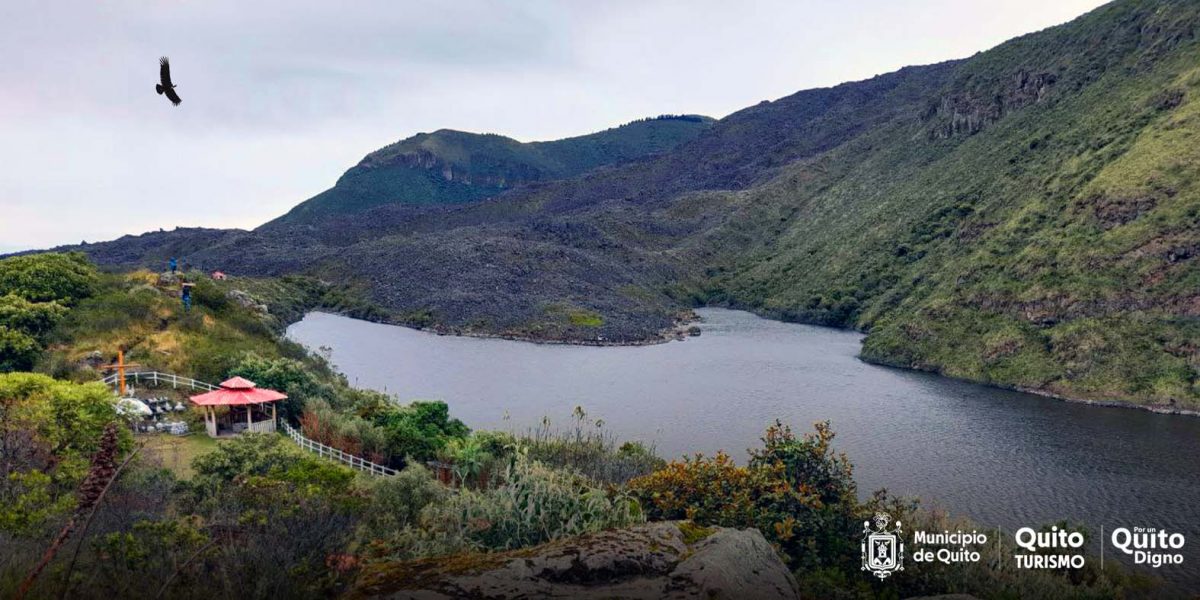 Píntag, el nido de cóndores de Quito - Empresa Pública Metropolitana de ...
